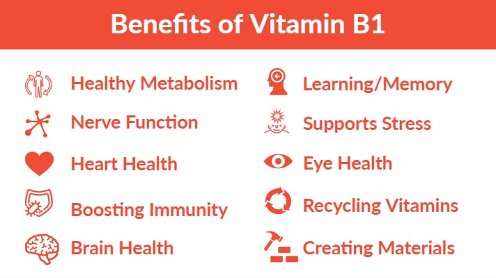Things to know about Vitamin B1 - An Care Pharma